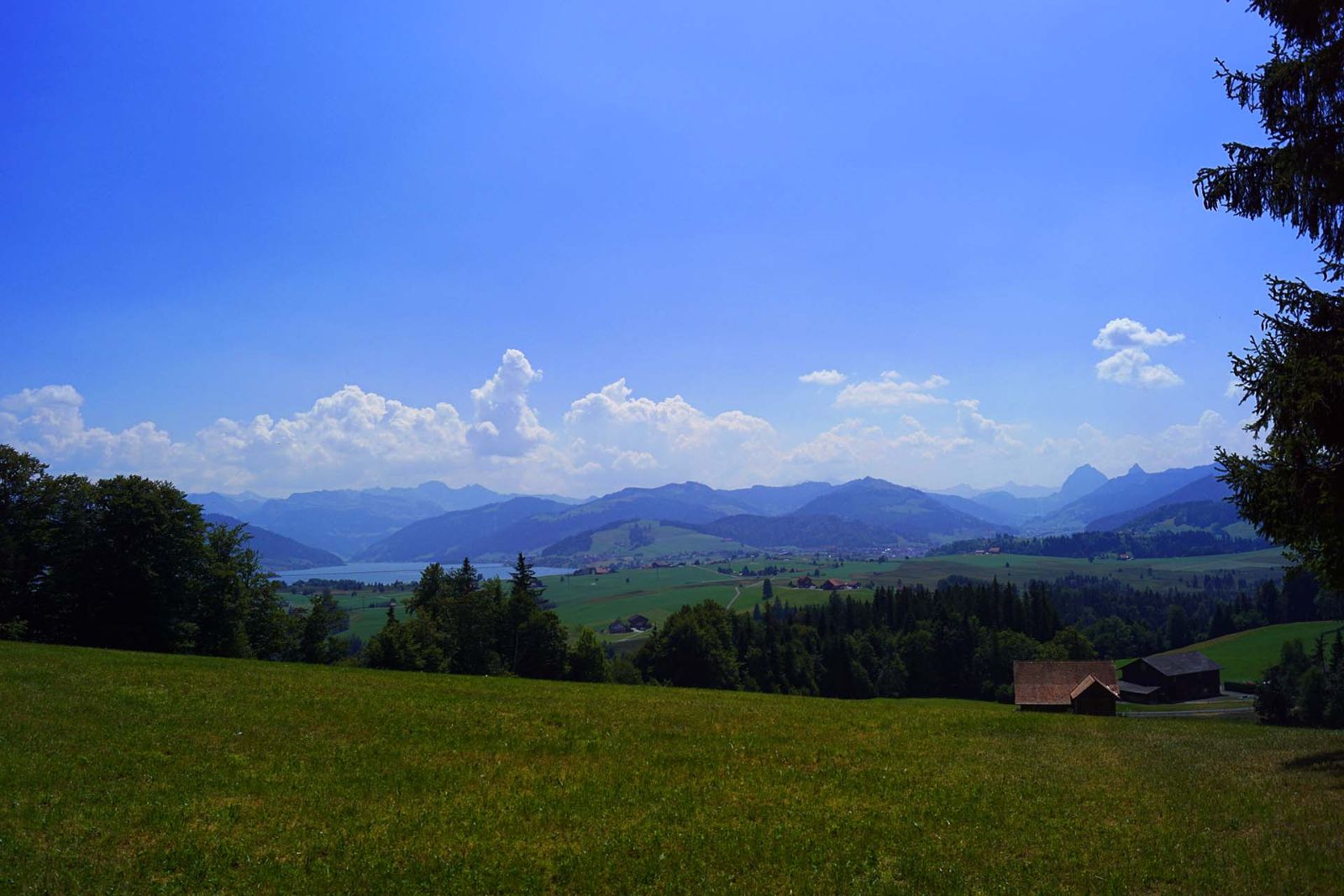 Etzel: Panoramatraumwanderung oberhalb des Zürichsees (2024)