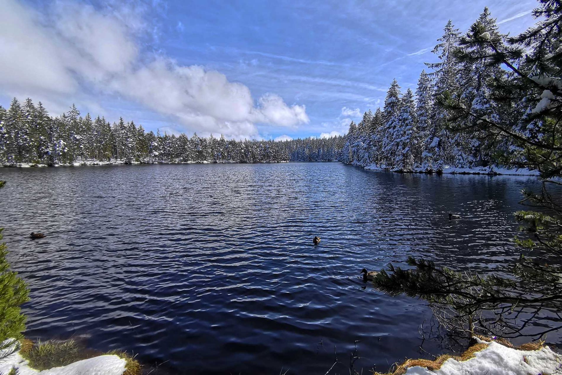 Étang De La Gruère: 5 TOP activities for an unforgettable excursion (2022)