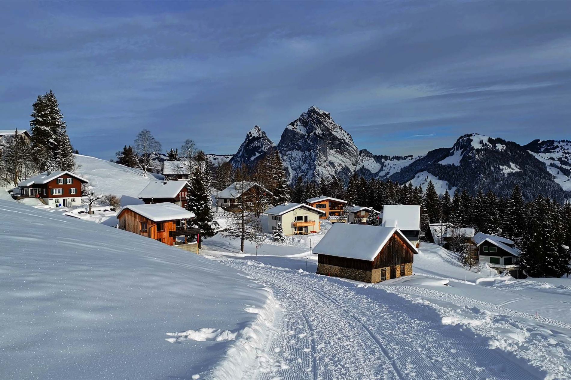 Arth-Goldau (2023): Die SCHÖNSTEN 12 Ausflugsziele | Schweiz