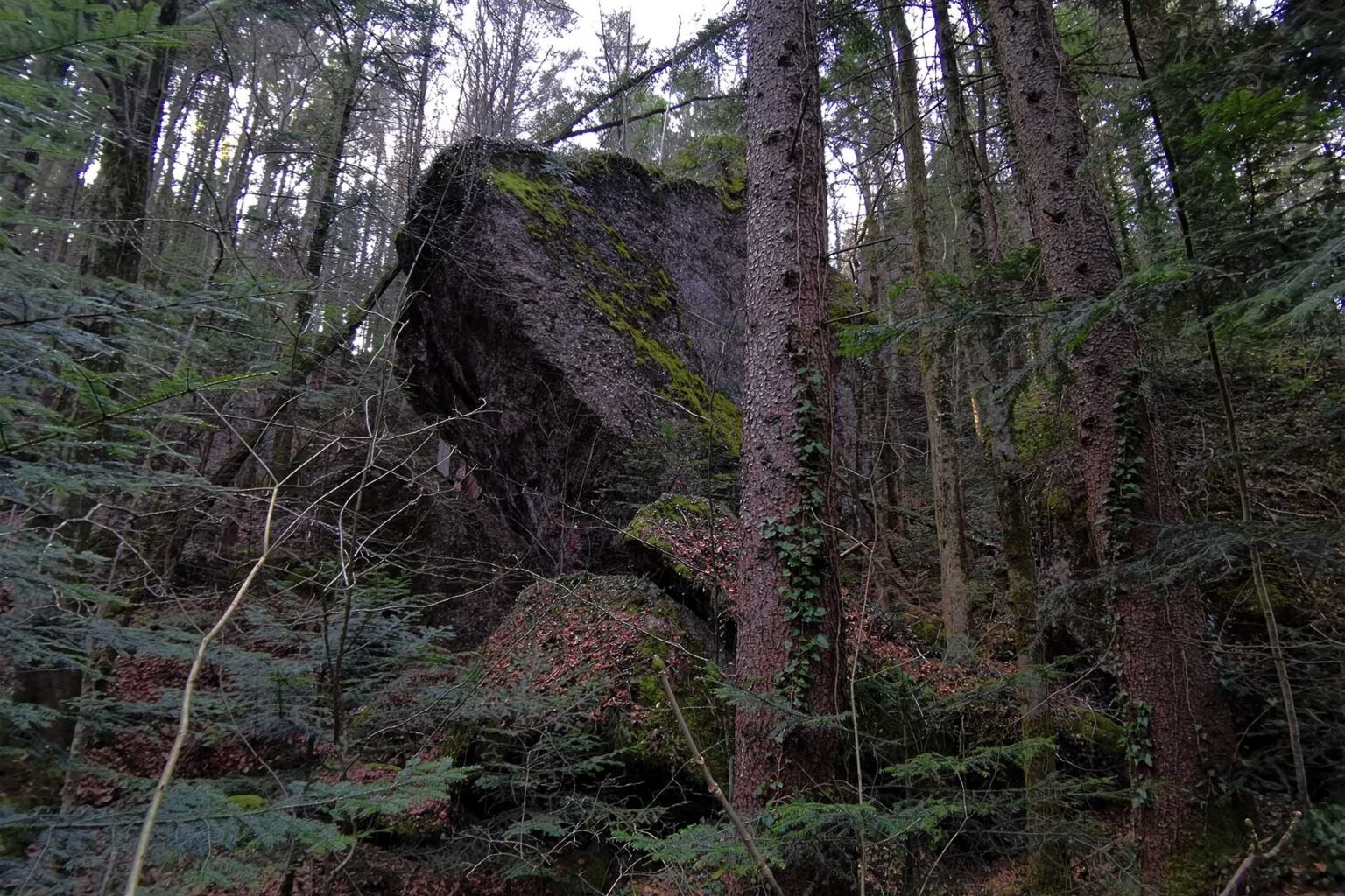 Arth-Goldau (2023): Die SCHÖNSTEN 12 Ausflugsziele | Schweiz
