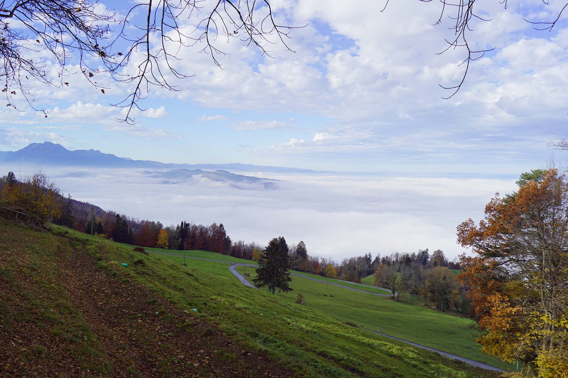 Monte Zugerberg: La MIGLIORE escursione sopra Zug - Switzerland by Locals