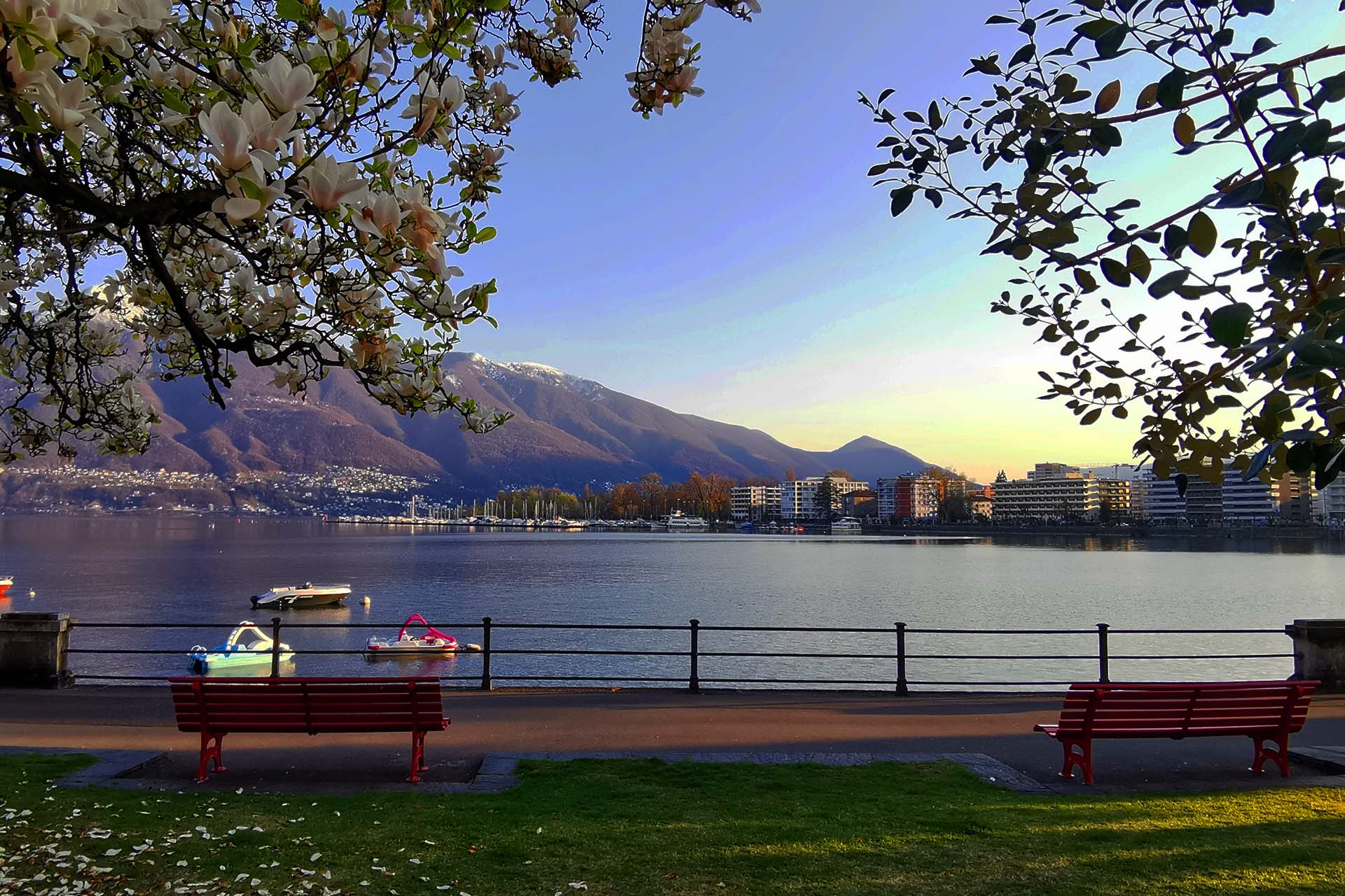 Le Guide de Voyage du Meilleur de Locarno - Switzerland by Locals