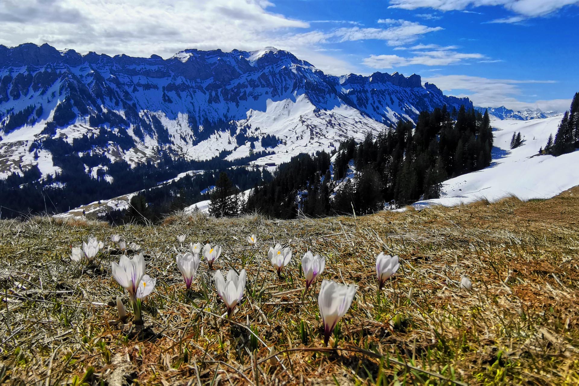 14 FANTASTIC destinations & hikes in Entlebuch (UNESCO)