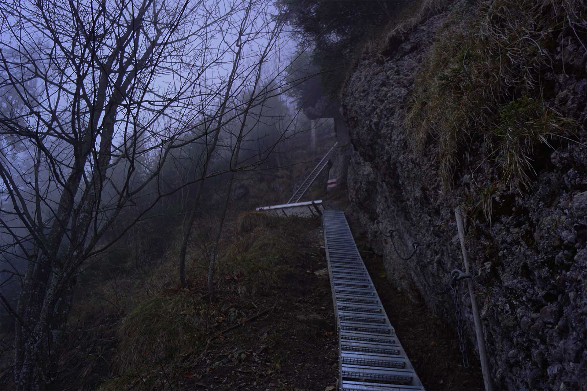 Wildspitz (2024): Traumwanderung auf den höchsten Zuger Berg