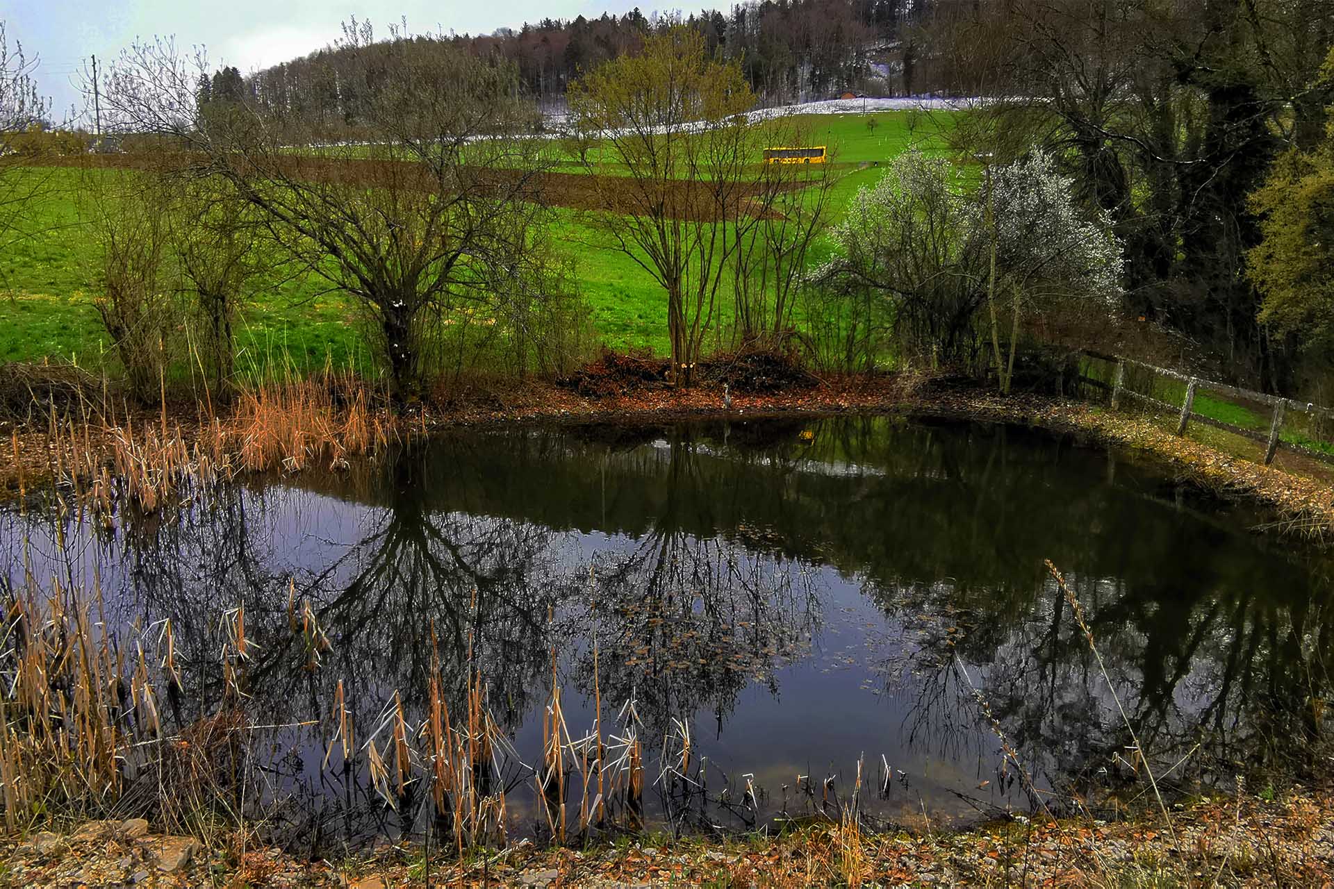 Baselland: The 11 BEST Places & Hikes (2022) | Switzerland