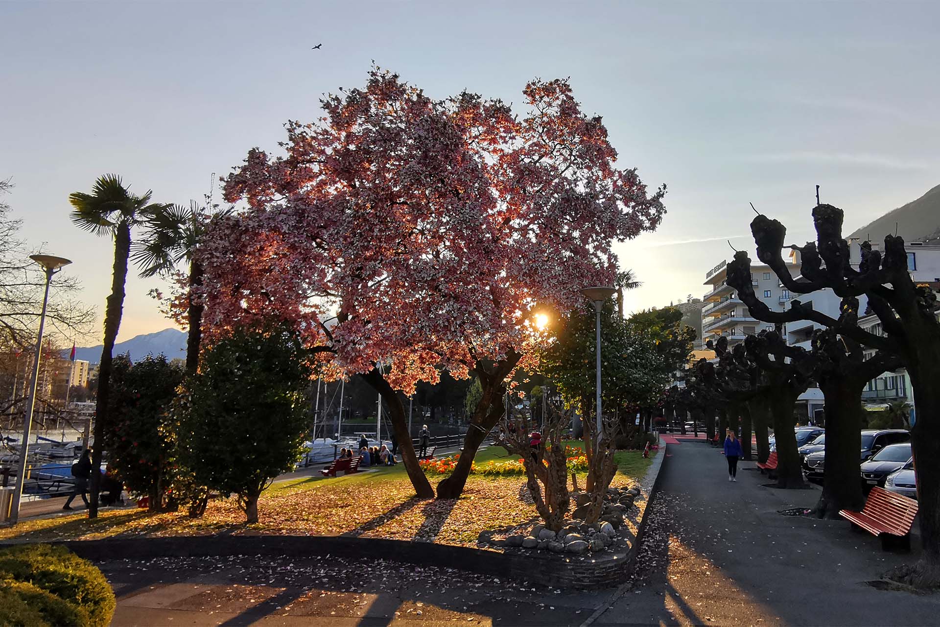 Best of Locarno Switzerland Travel Guide