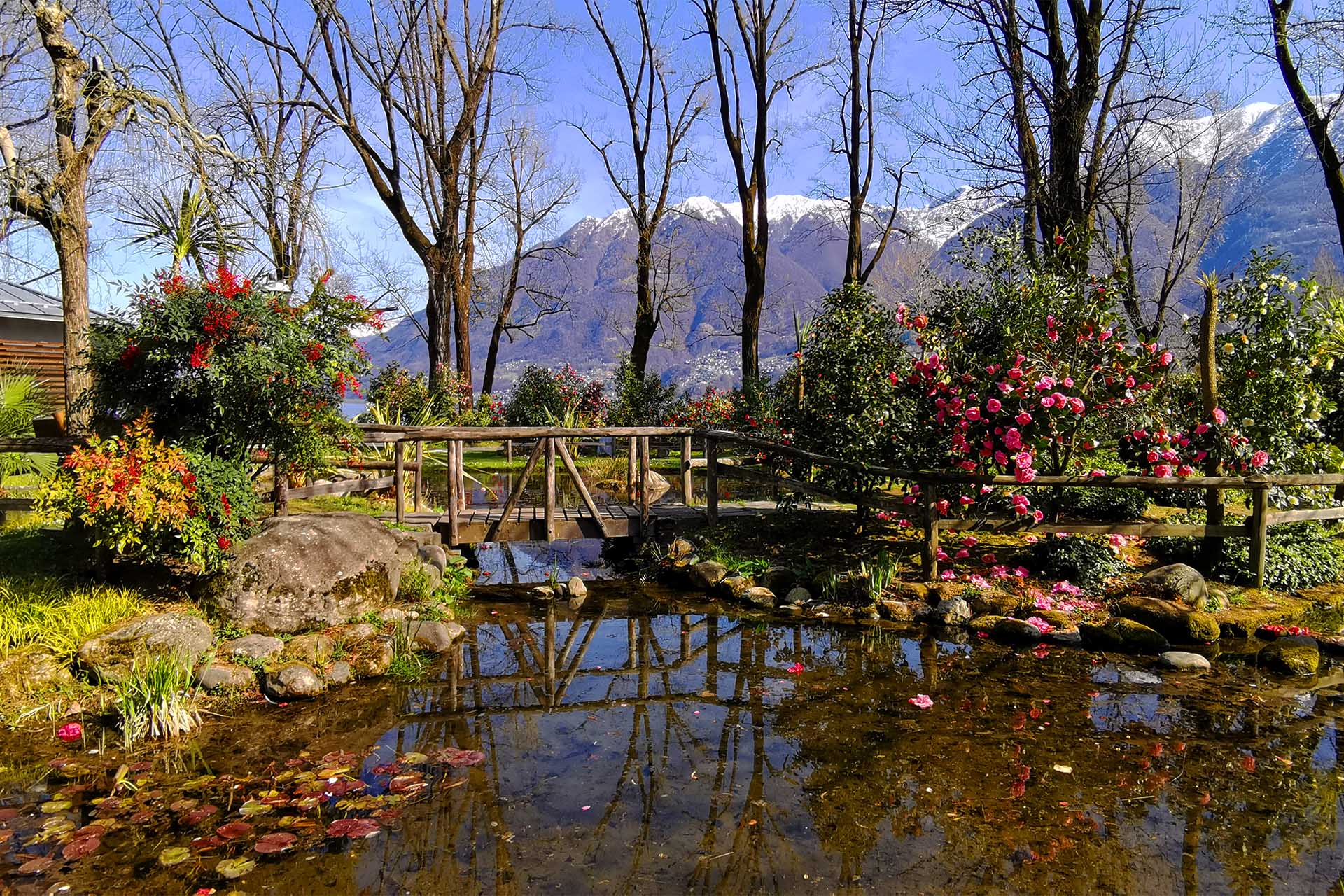 Best of Locarno Switzerland Travel Guide