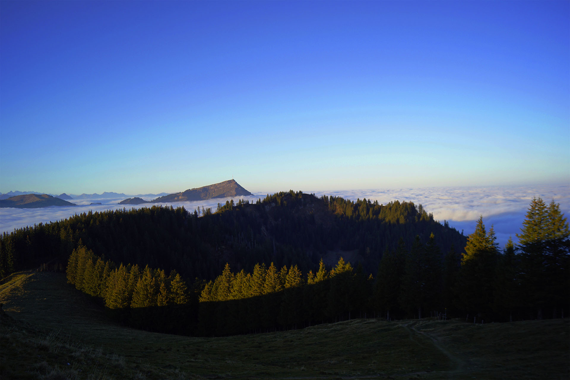 Wildspitz (2024): Traumwanderung auf den höchsten Zuger Berg
