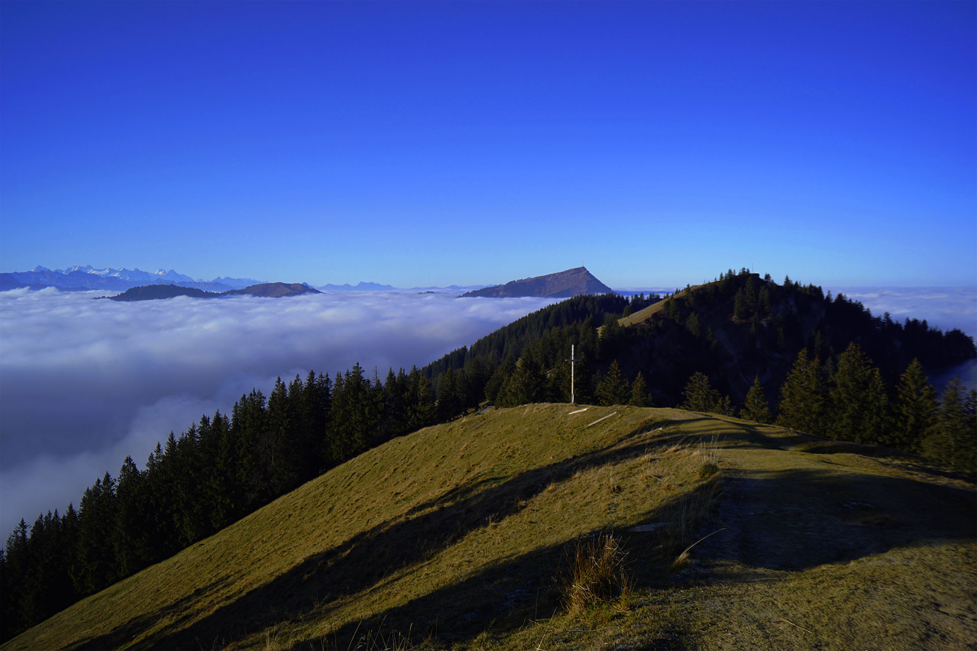 Wildspitz (2024): Traumwanderung auf den höchsten Zuger Berg
