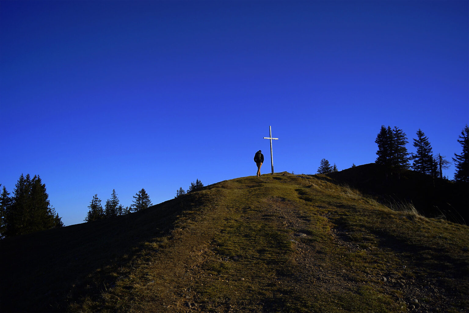 Wildspitz (2024): Traumwanderung auf den höchsten Zuger Berg