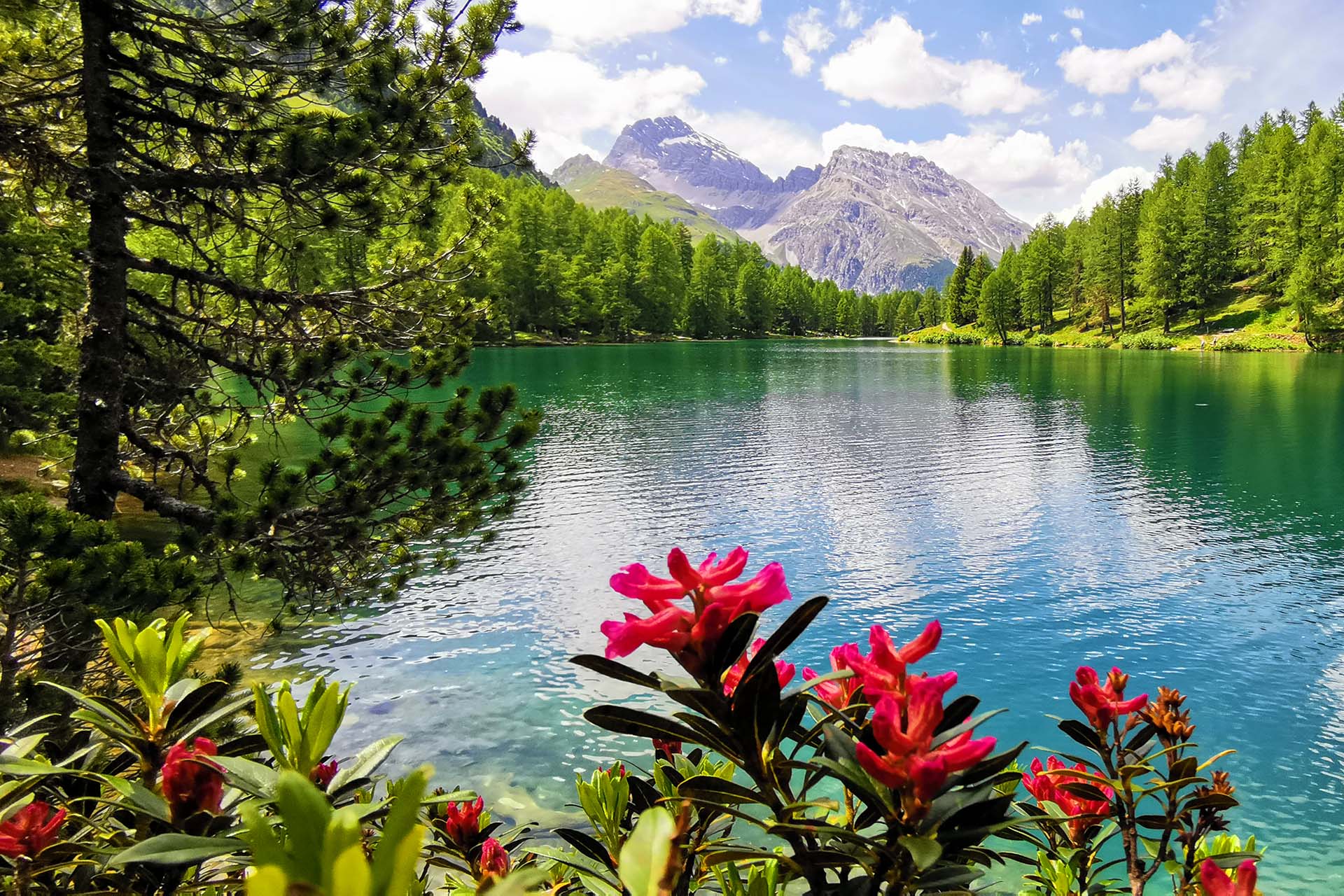 Mountain Passes in Switzerland: The 9 most beautiful destinations