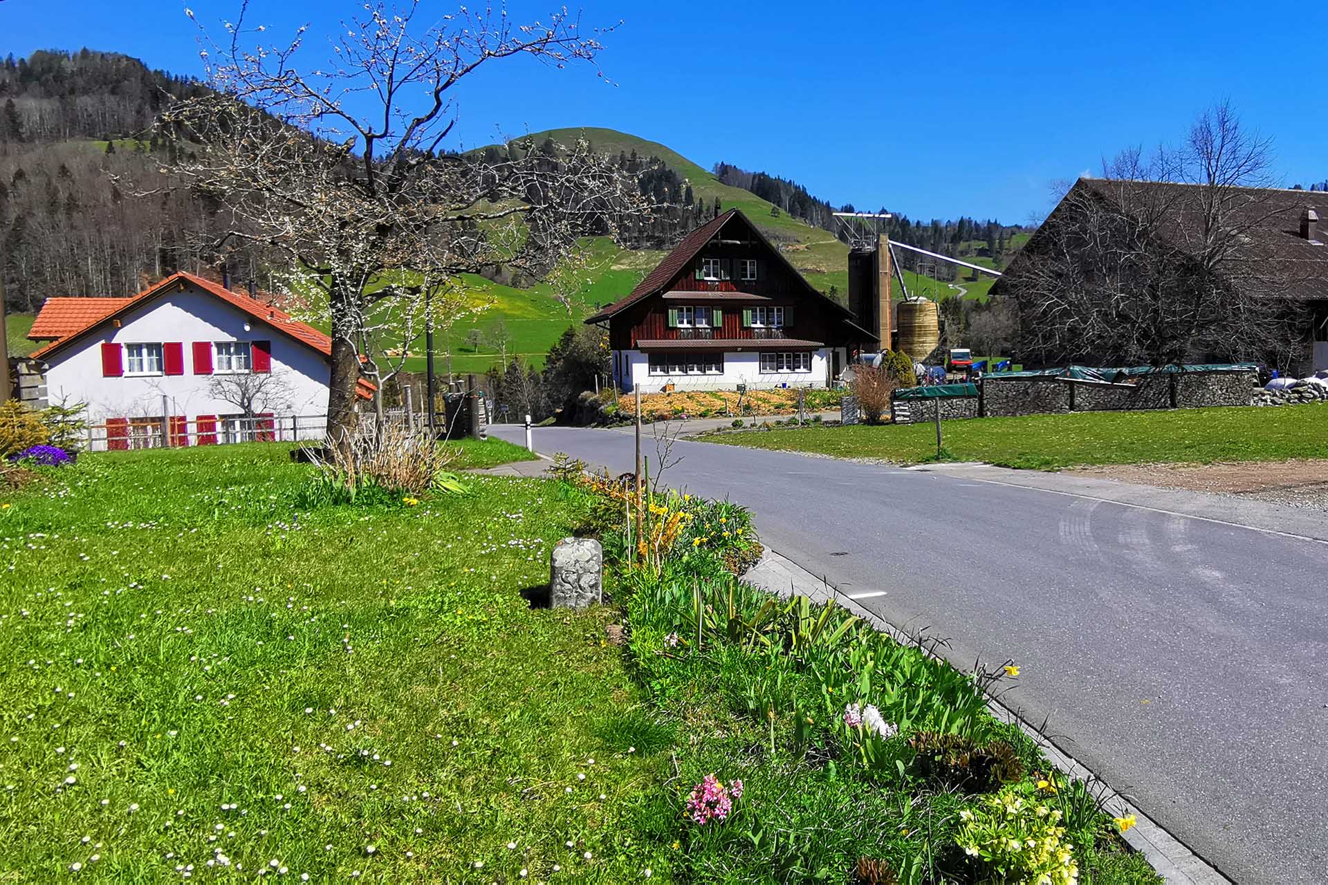 Atemberaubende Alp Scheidegg und Tösstal-Wanderung (2024)