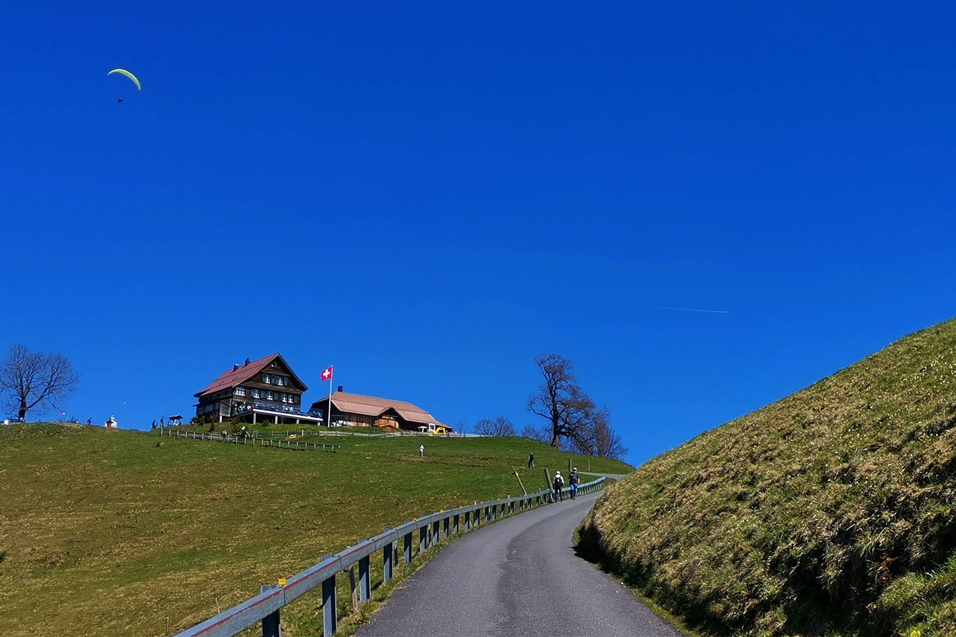 Breathtaking Alp Scheidegg and Tösstal hike