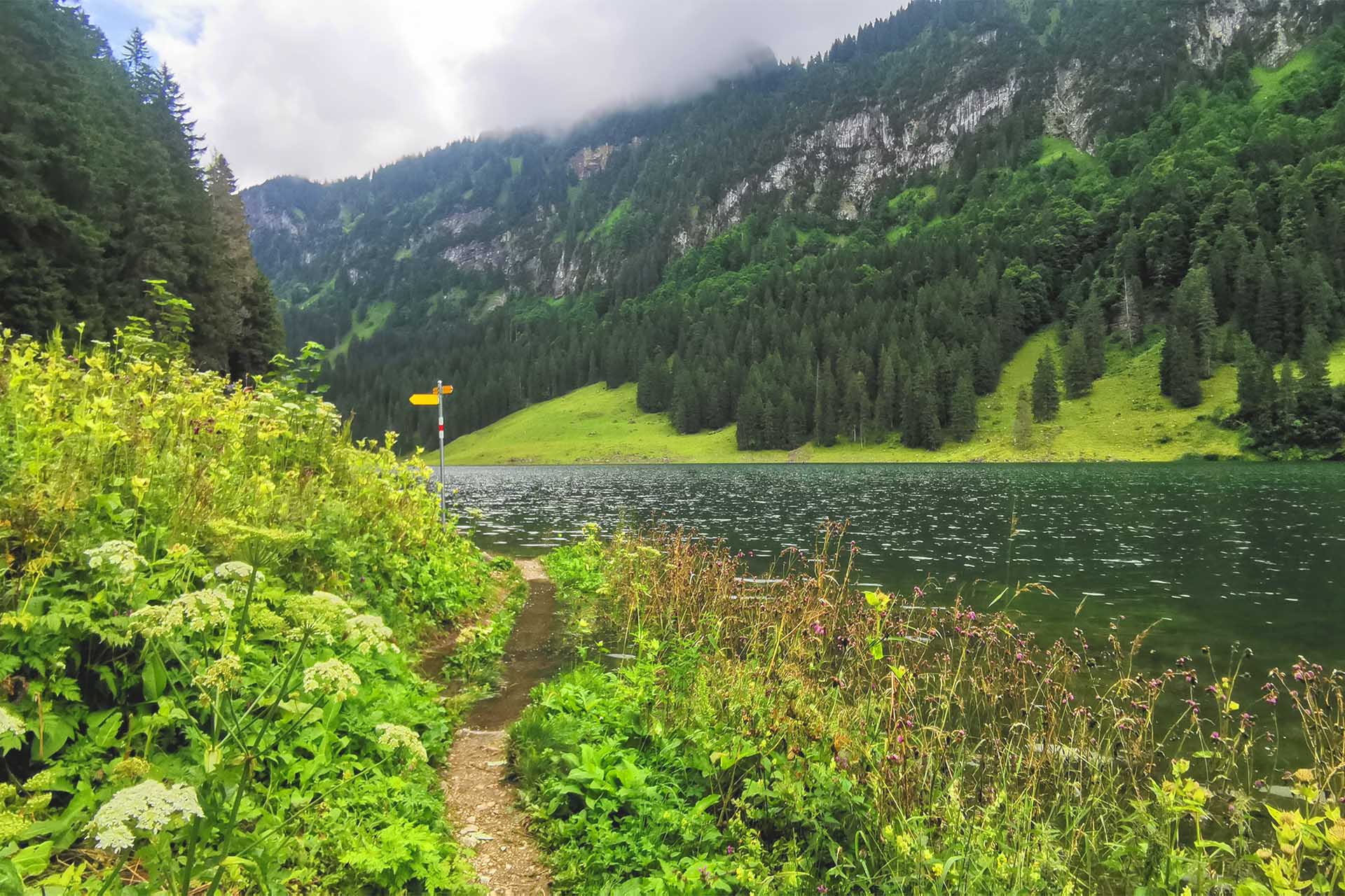 Lake Fälensee (2022): Dream hike to the Alpstein fjord