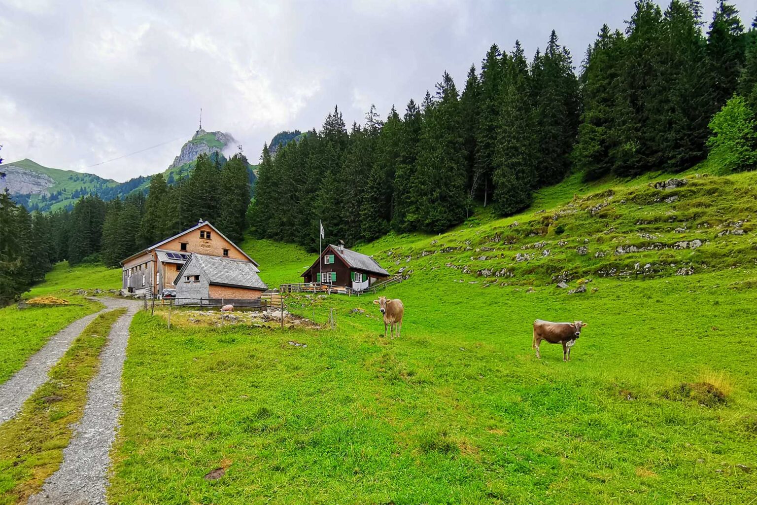 Lake Sämtis: Dreamlike circular hike in the Alpstein region (all info)