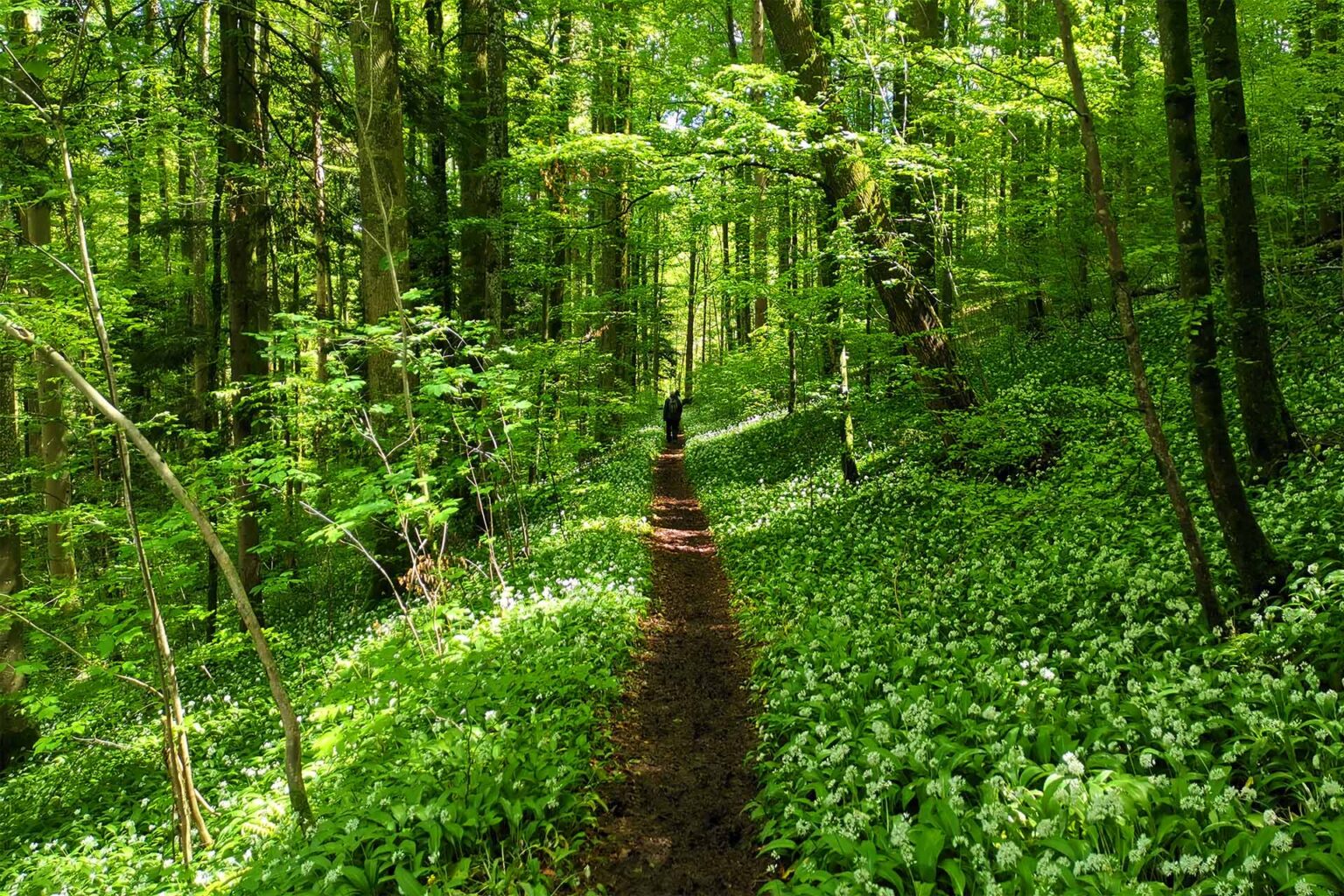 121 most beautiful places to visit in Switzerland in 2023 - Switzerland ...