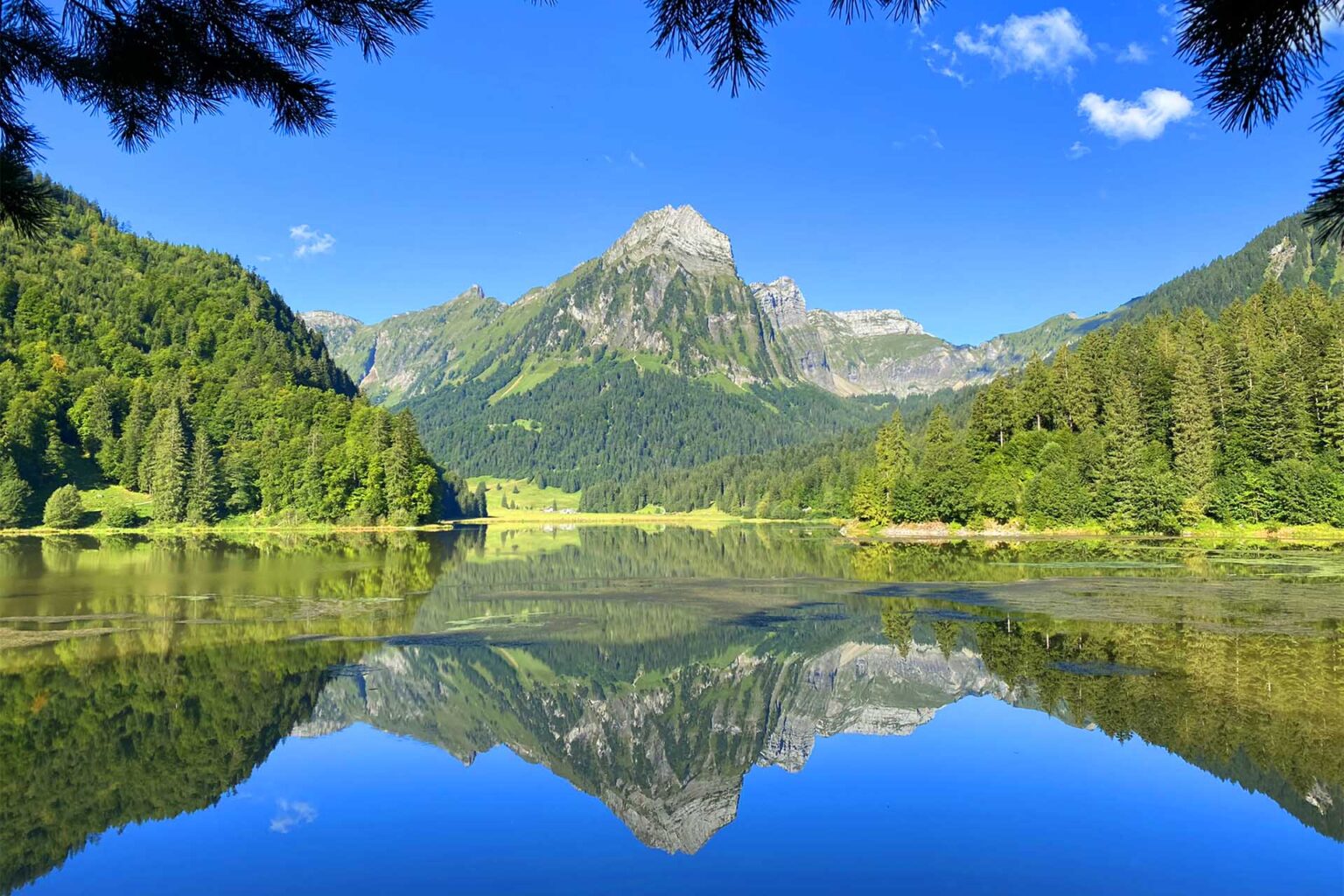 Lake Obersee (2023) – The Dream Lake Next to Zurich
